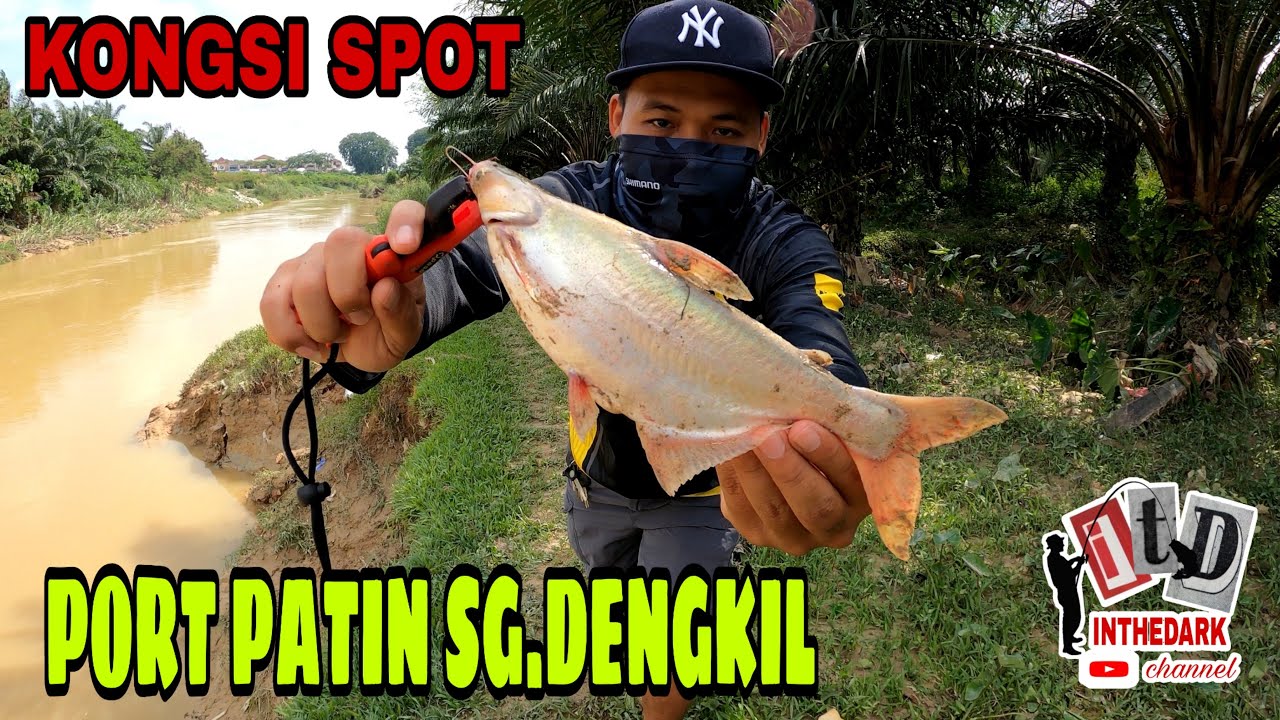 SUNGAI DENGKIL || KONGSI SPOT DI SUNGAI DENGKIL || PATIN KUNING - YouTube