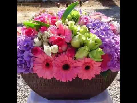 BİZİM QURUPUN QİZlARİ BAYRAMİNİZ MUBAREK😘😘😍😍😍😍🌼💕💞🌹