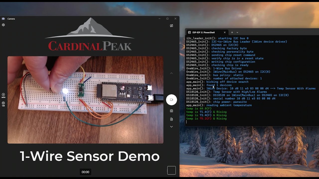 Cardinal Peak 1-Wire Temperature Sensor Demo - YouTube