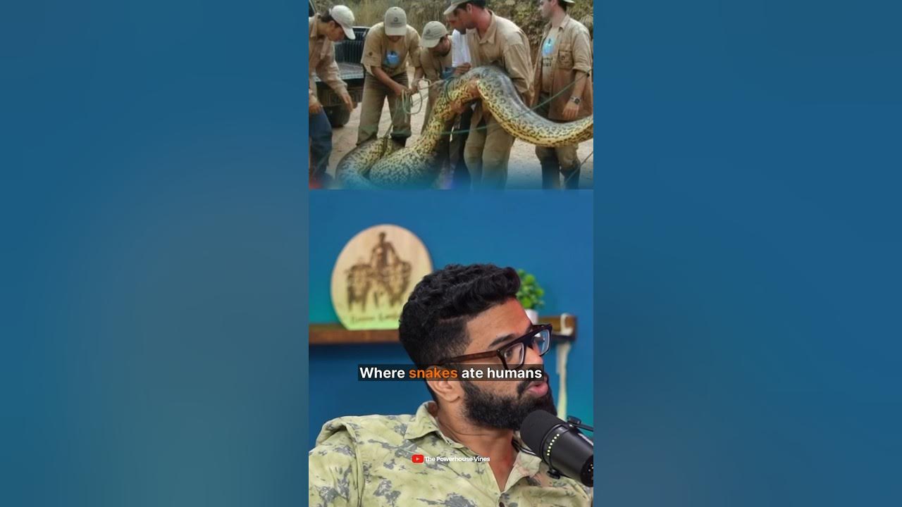 Snakes eat Humans?😳 - YouTube