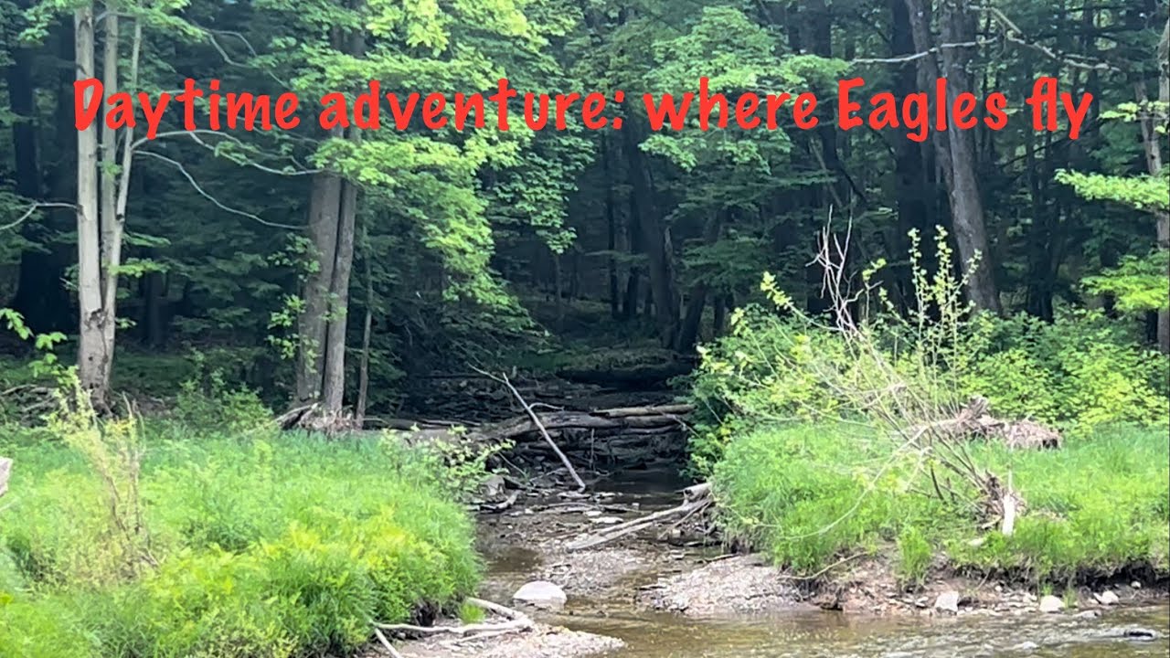 Daytime Adventure: Where Eagles Fly - YouTube
