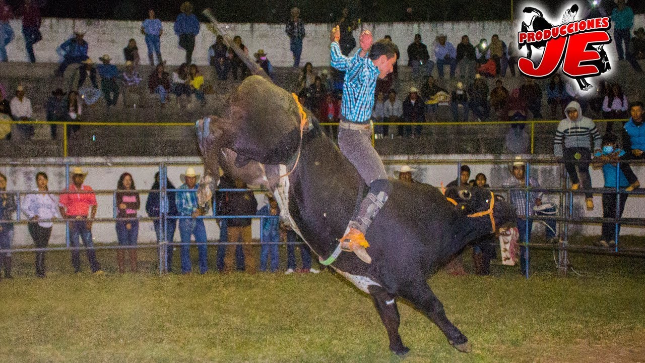 TORNEO DE TOROS DE REPARO DONGOTEAY, HIDALGO 2017 - YouTube