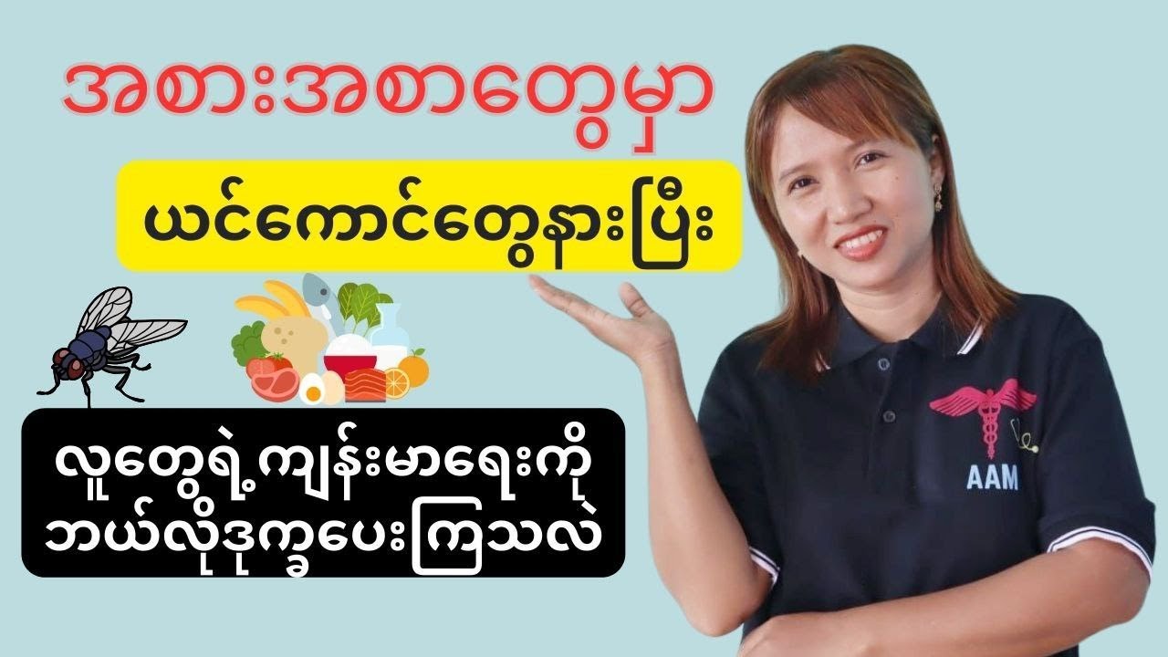 ယင်ကောင်တွေကအစားအစာတွေပေါ်မှာနားပြီး ဘာတွေလုပ်ကြလဲ Youtube