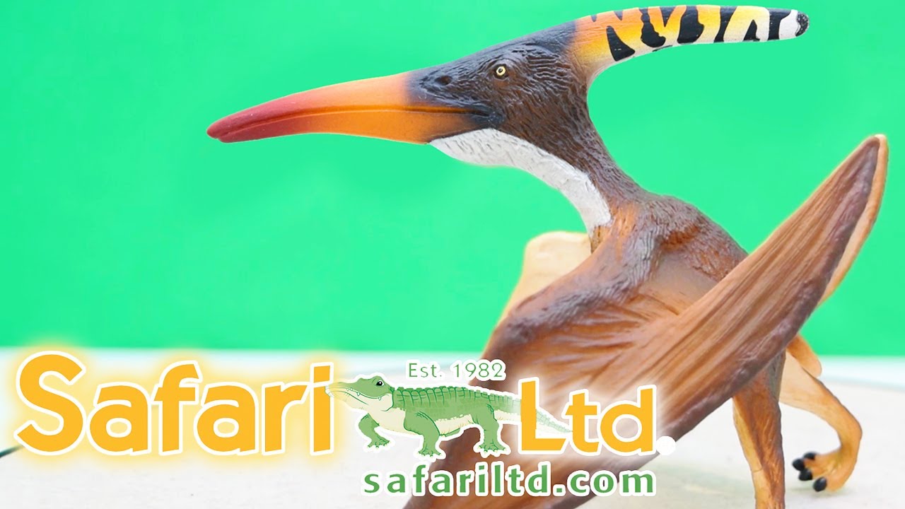 Safari Ltd® Pteranodon (NEW for 2019) - YouTube