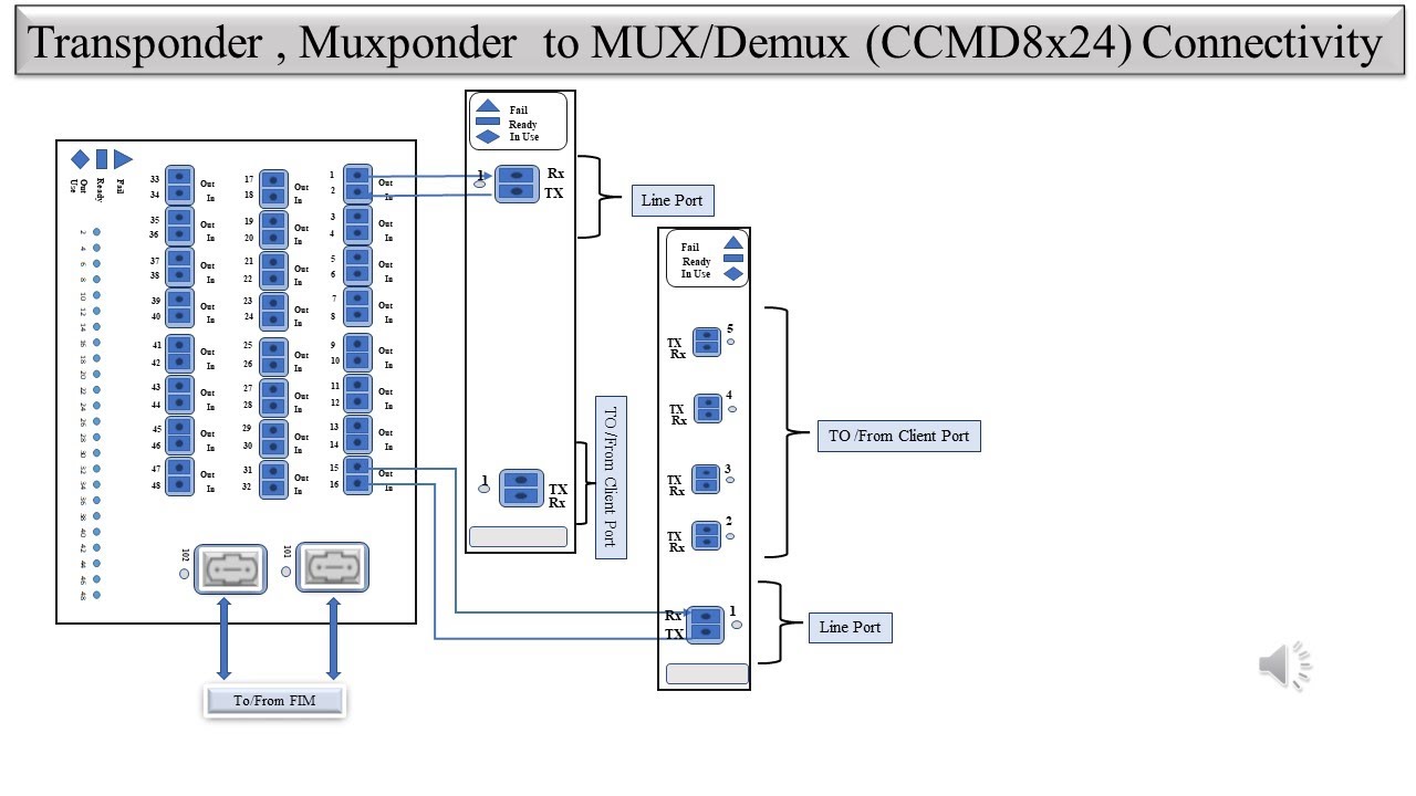 Physical Connectivity between Ciena Transponder/Muxponder to CCMD8x24 ...
