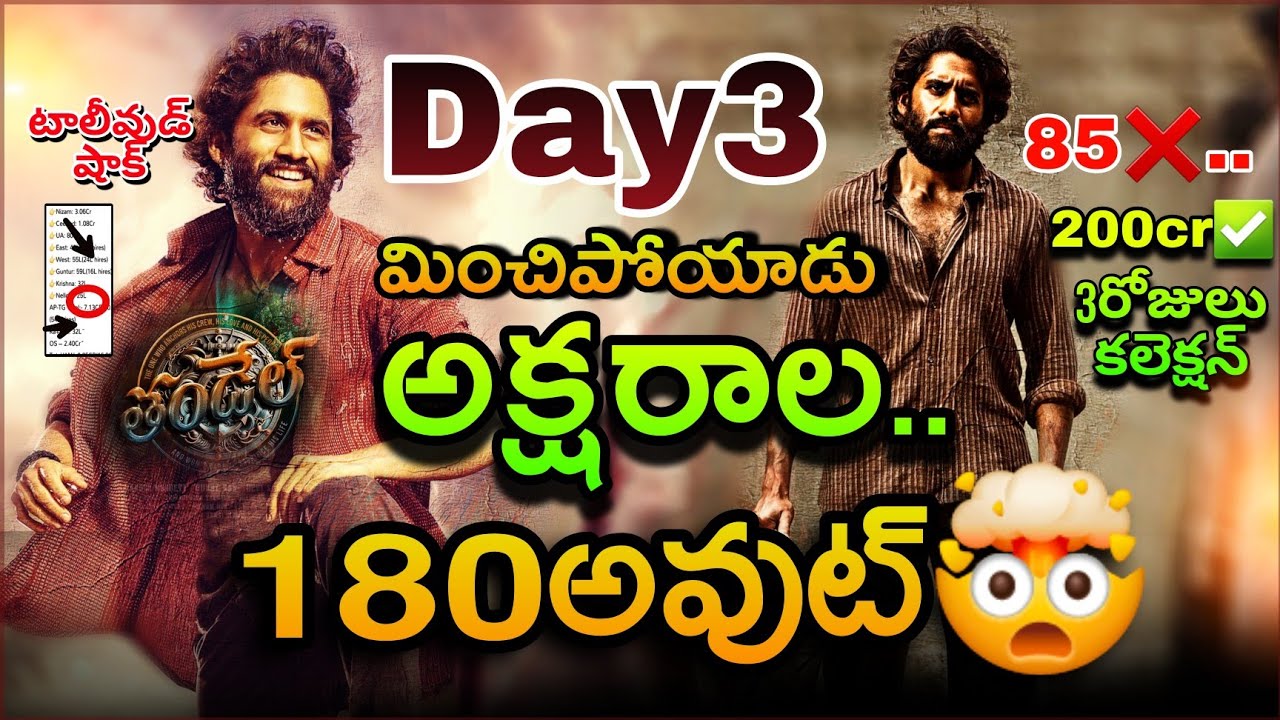 Naga Chaitanya Thandel 3 Days Collection | Thandel Three Days Boxoffice ...