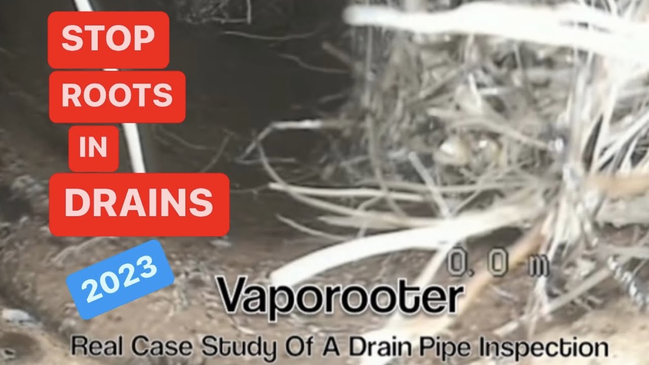 How To Remove Roots From Drain Pipes Vaporooter Case Study YouTube how-to-remove-roots-from-drain-pipes-vaporooter-case-study-youtube