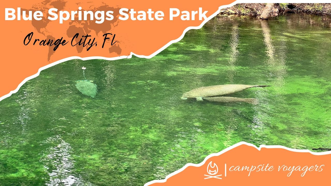 Campground tour of Blue Springs State Park, Florida - YouTube