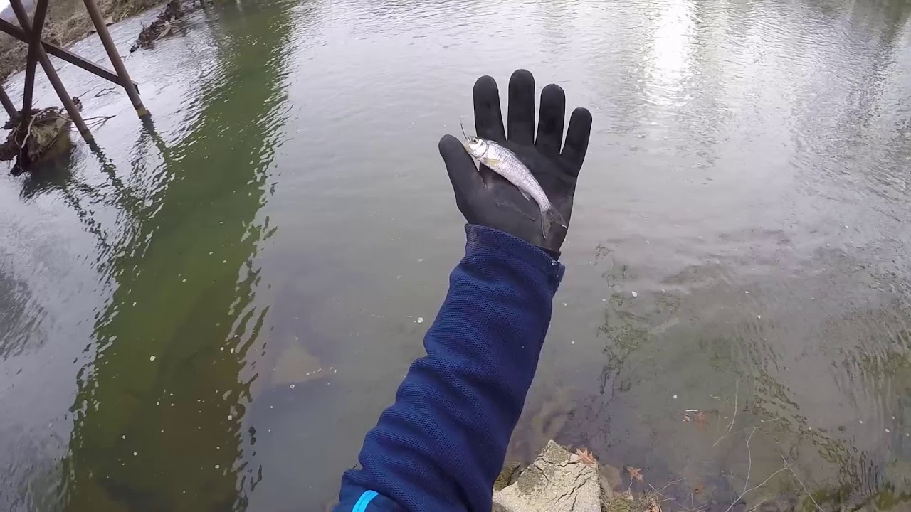 Ultralight fishing for big minnows in December - YouTube
