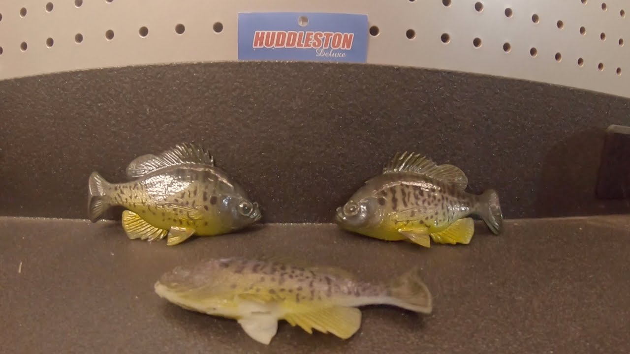 Huddleston Deluxe Bluegill Swimbait Review - YouTube