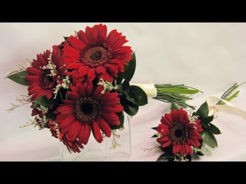 Burgundy Gerbera Daisy Wedding Bouquet - YouTube