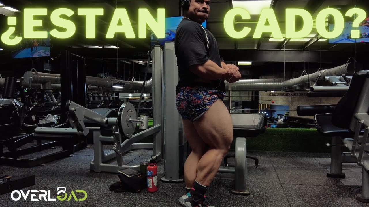 COMO SABER SI ESTÁS PROGRESANDO EN EL GYM | MIDIENDO TU PROGRESO - YouTube