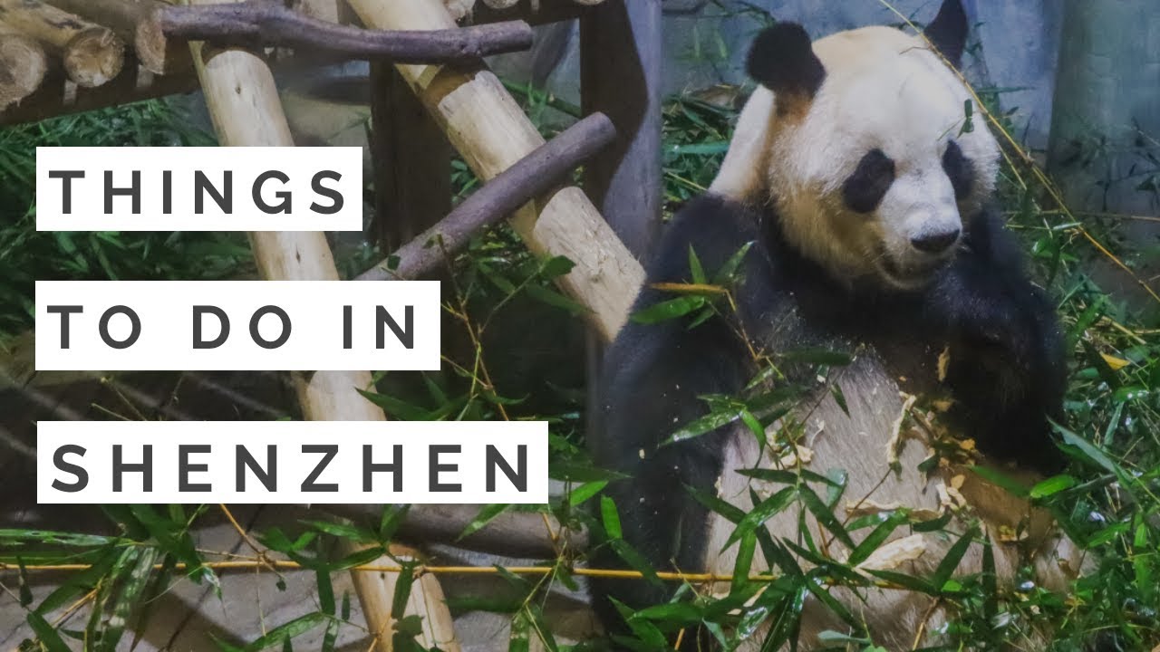 Places to visit in Shenzhen || China Tour || Shenzhen Zoo || Window of ...