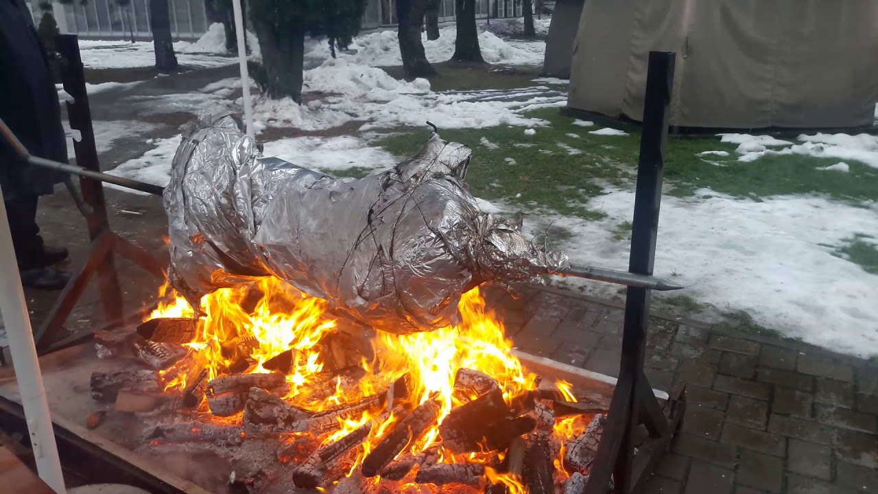 Porc la protap - YouTube