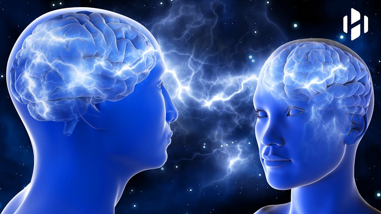 Does Brain Size Matter? - YouTube