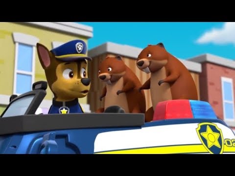 Paw Patrol Cartoon For Toddlers - Paw Patrol Compilation s02e04 - YouTube