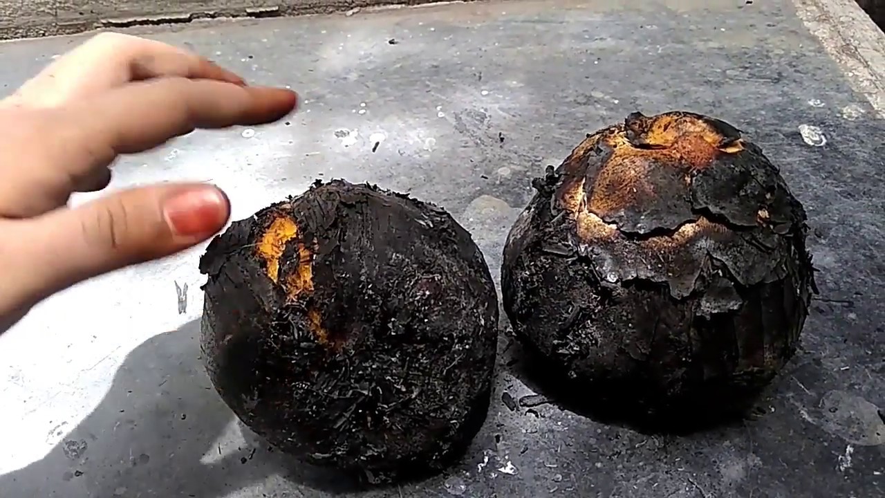 Palm fruit recipe / Quick and easy to cook Palm fruit/Panai pazham ...