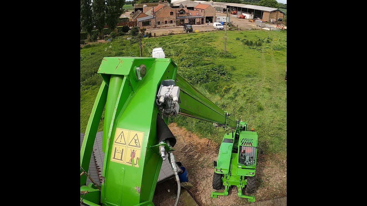 Willow tree Removal - YouTube