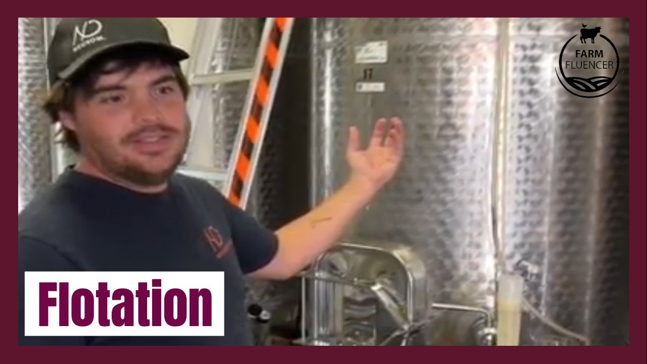 Flotation bei Weisswein | Winzer | Farmfluencer - YouTube
