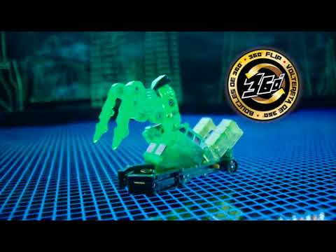 SCREECHERS WILD - YouTube