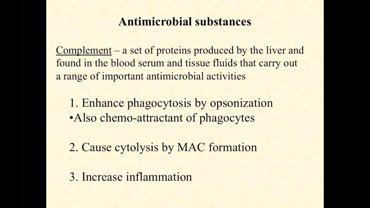 BIO2020 Episode 061: innate immunity: complement, interferon - YouTube