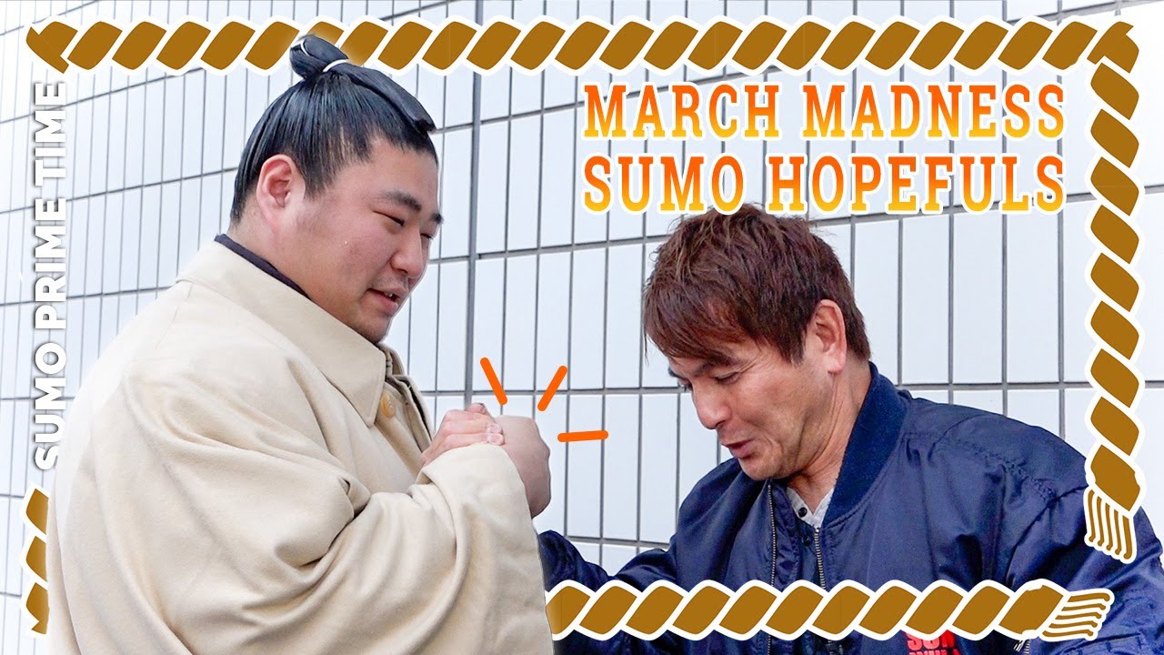SPRING SUMO SNEAK PREVIEW – LEGITIMATE CONTENDERS! - YouTube