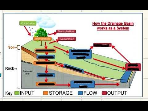 How does the drainage basin/hydrological water cycle work? IGCSE ...