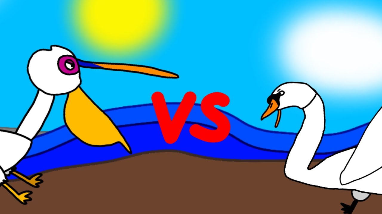 Pelican vs swan - YouTube