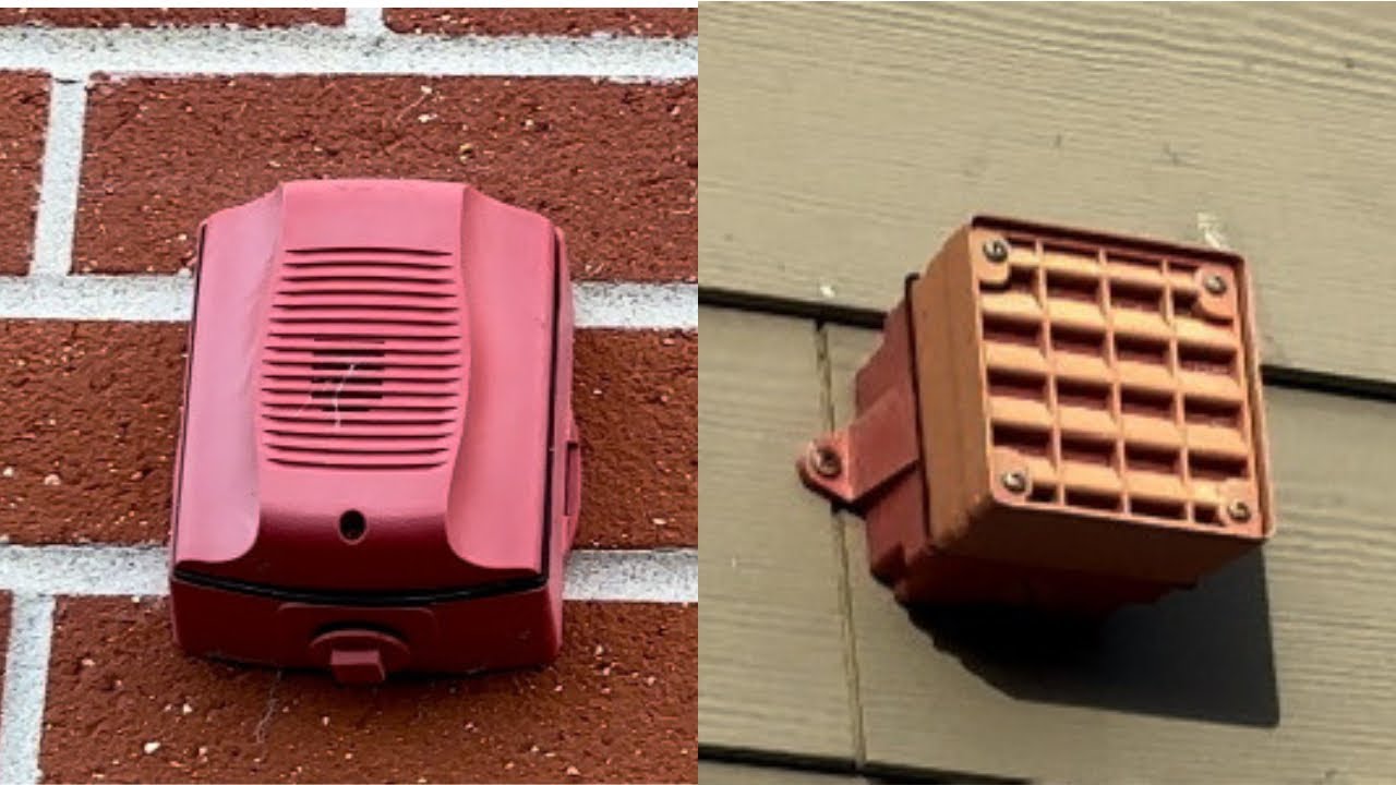 After School False Fire Alarm! (11/9/23 3:45 PM) - YouTube