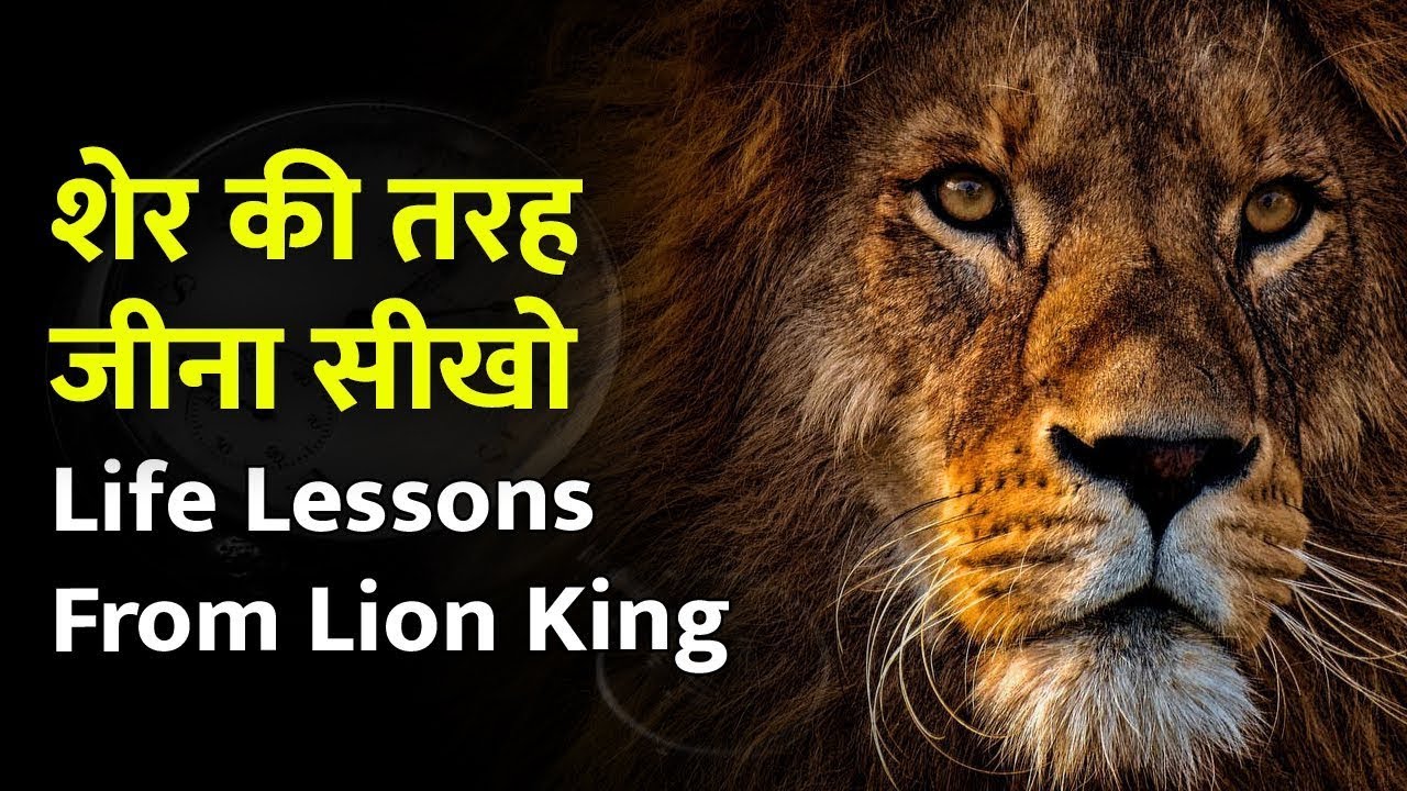 Life lesson from king loin/motivational video in hindi👍 - YouTube