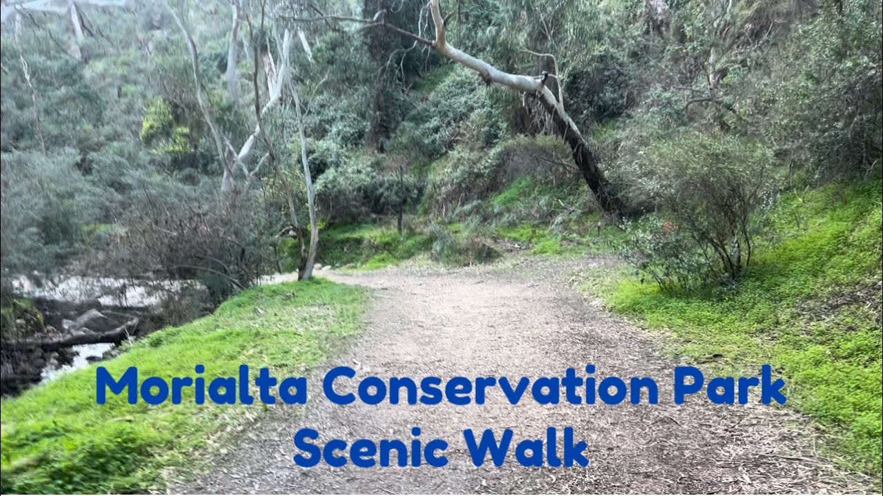 Scenic Walk, Morialta Conservation Park, Adelaide South Australia - YouTube