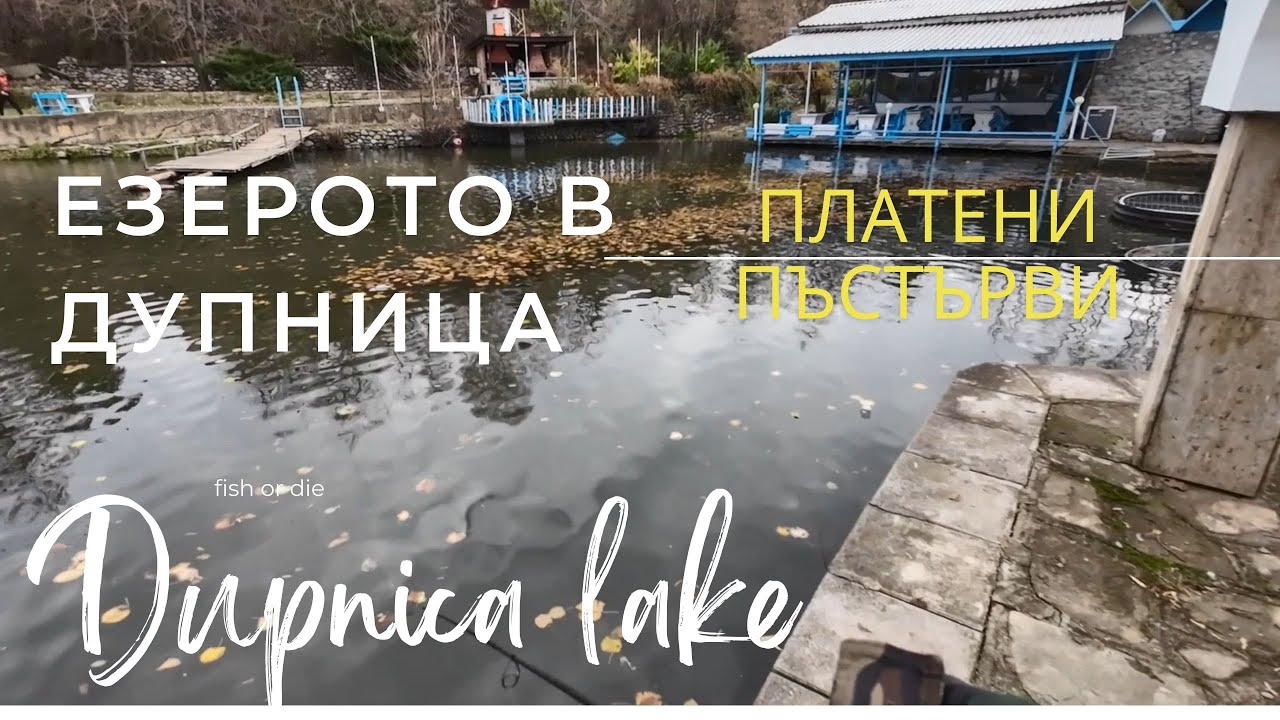 Езерото на Дупница пъстърви - Dupnica lake - YouTube