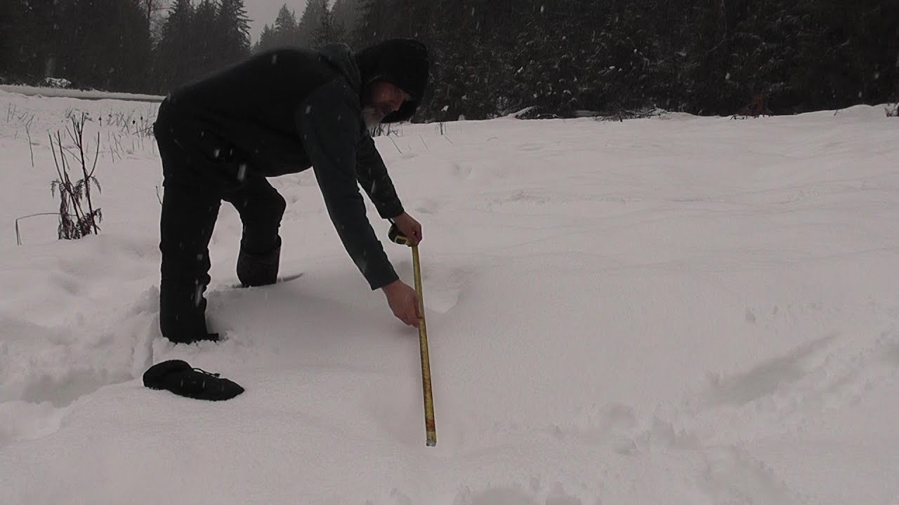 Validating Sasquatch Trackways in the Snow - YouTube