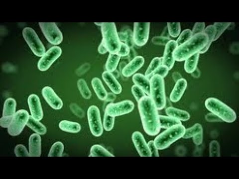 Introduction to Microbiology - YouTube