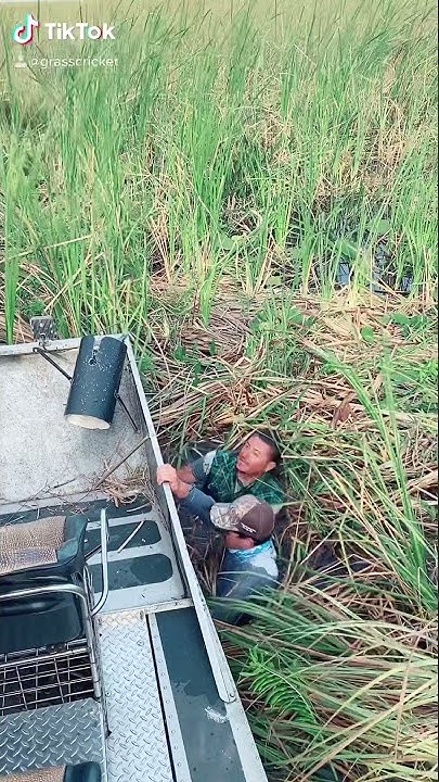 Everglades python hunting - YouTube