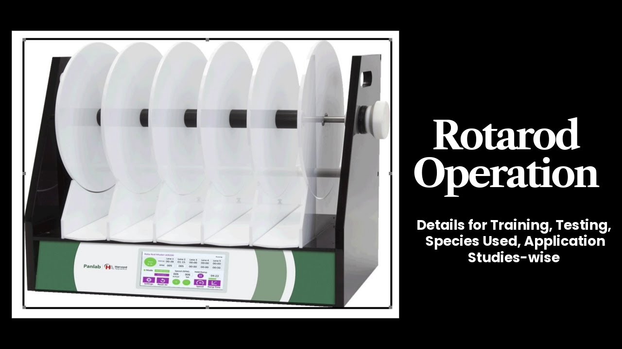 How to Perform the Rotarod Test: Assessing Motor Coordination in ...