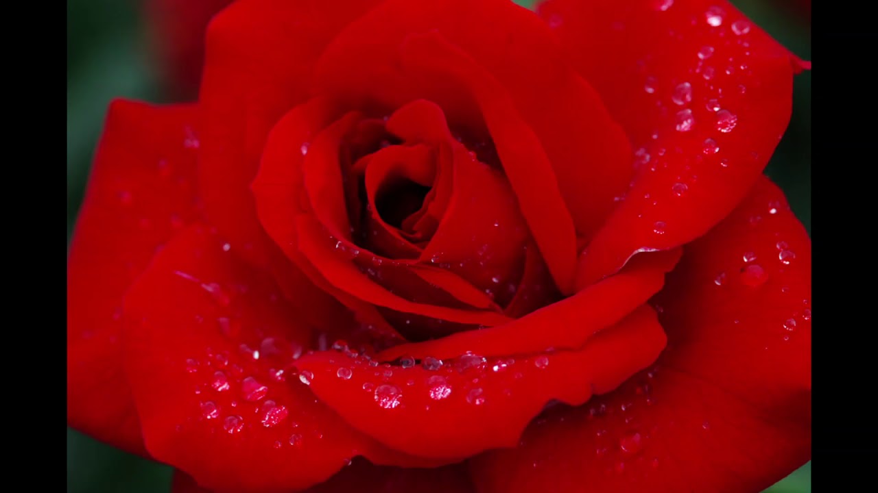 FIRST OF MAY - YouTube