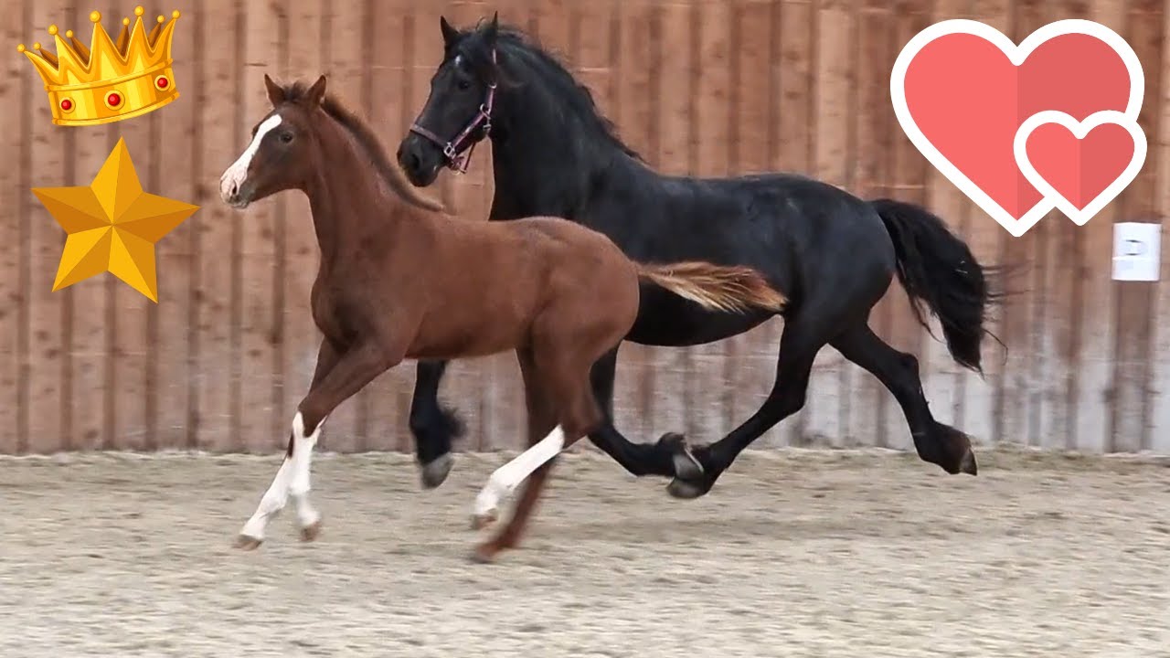 Made for each other! ️ Queen👑Uniek & Rising Star⭐ together in the ...
