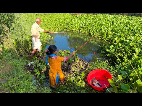 Fishing Video || Grandpa & Village Girl Catch Big Fish in Water Hyacinth Pond || Real Pond Fishing