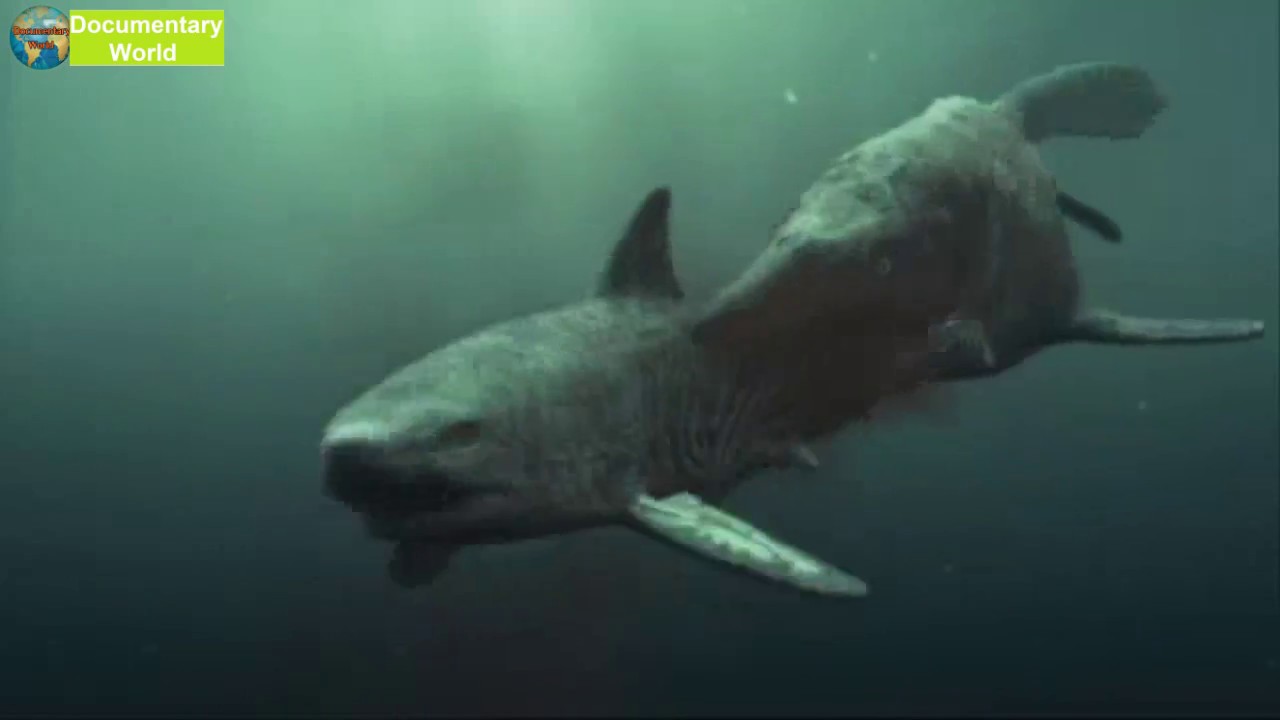 Mosasaur Shark Attack | Reign of the Dinosaurs - YouTube