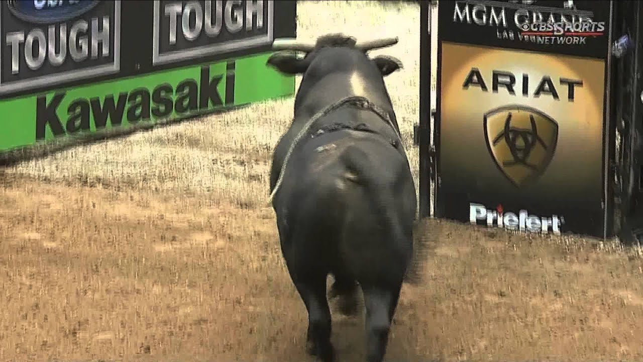 Mick E Mouse takes care of Chase Outlaw (PBR) - YouTube