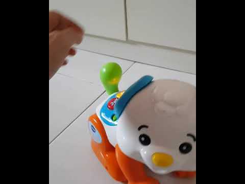 Vtech shake and sounds learning pup part 2