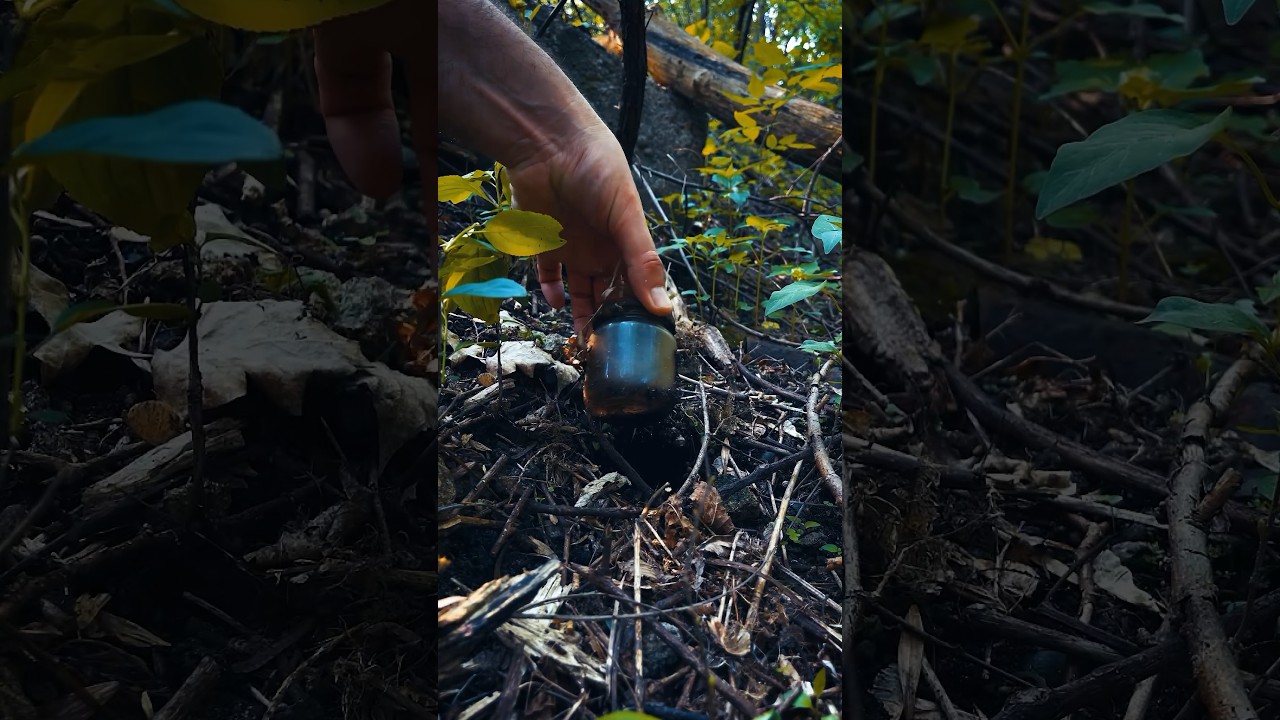 Interesting Forest Finds Part 2 | Lost in the Woods | Forest Treasure ...