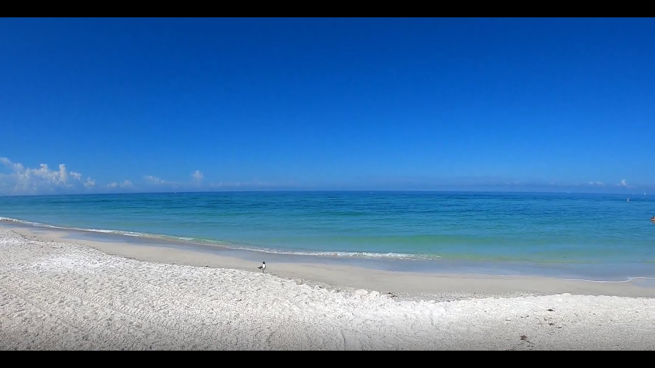 Spanish Rock Reef Scuba Diving June 18th, 2020 - YouTube