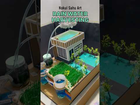How To Measure Algae Growth Science Fair Project