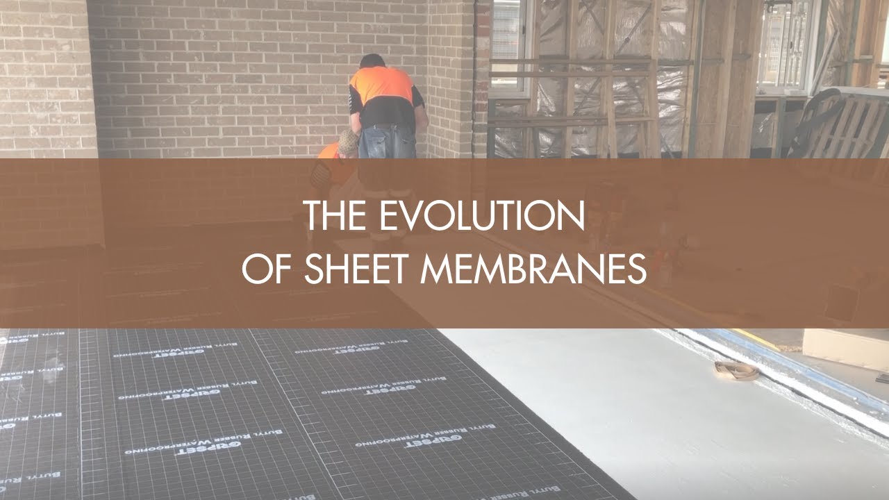 The Evolution Of Sheet Membranes - YouTube