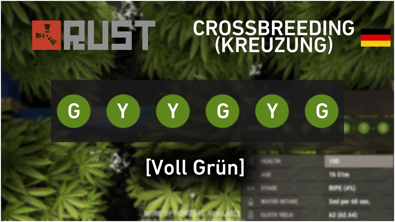 Crossbreeding Rust