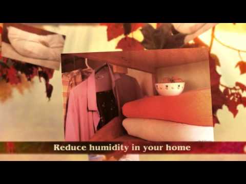 How to Use Leftover Green Tea Leaves - YouTube