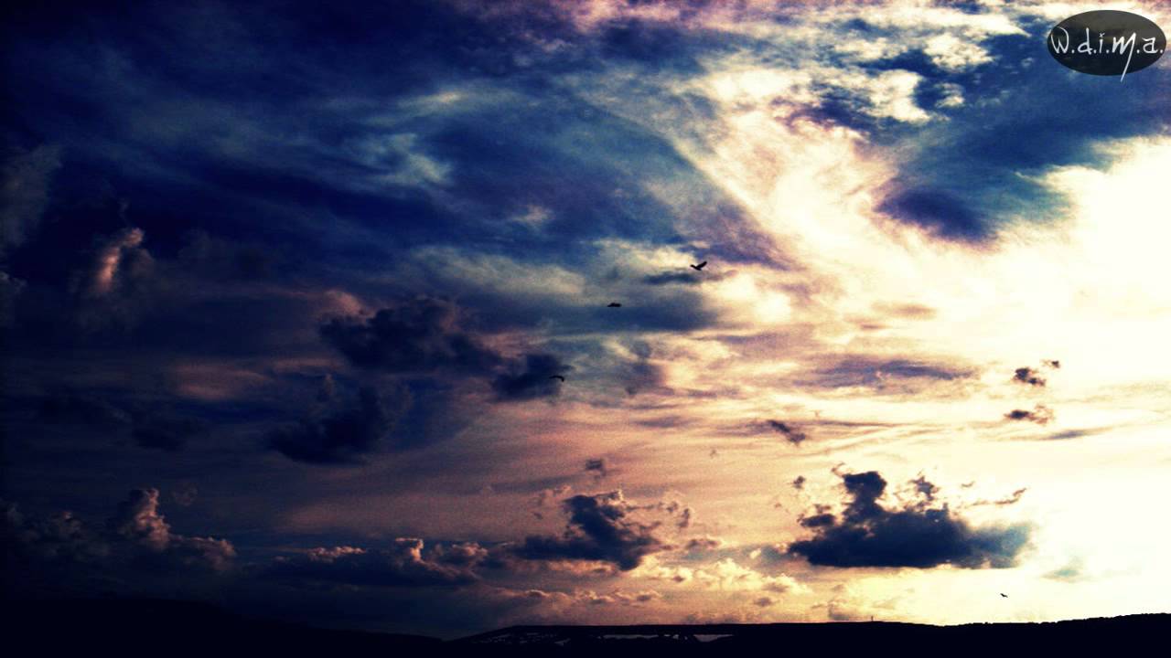 A Light In The Dark - Sunshine - YouTube