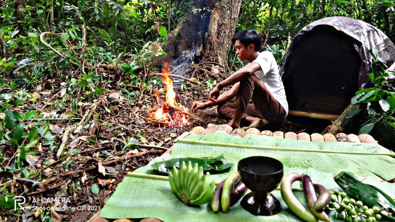 Solo Survival berburu jamur di alam bebas langsung masak di tenda ...